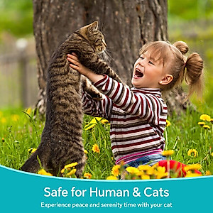 WEALLIN 4 Packs Calming Collar for Cats, Cat Calming Collar Anxiety Aggression Relief Stress Pheromone Collar for Cats, Cat Calming Products with 60 Days Long-Lasting Effect, Adjustable for Most Cat