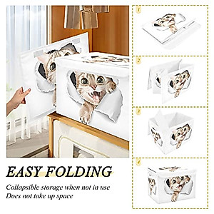 RunningBear Cartoon Cute Cat Large Storage Bins with Lid Collapsible Storage Bin Shelves Basket Clothes Toys Bin for Home Toys Clothes