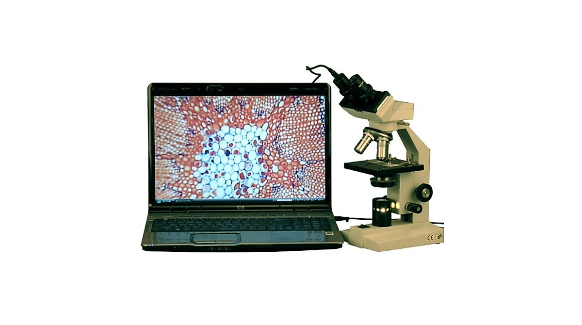AmScope B100B-E Digital Compound Microscope with Camera - 40X-2000X