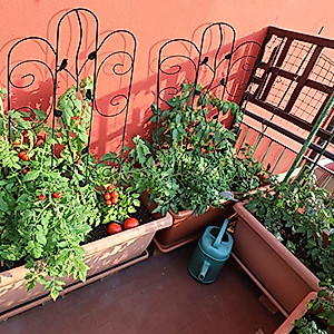 XYADX Metal Garden Trellis for Climbing Plants & Roses 61''x 18.5" Plants Support Rustproof Sturdy Leaves Garden Trellis for Vegetables Trellis for Potted Plants Pack of 2 - Black