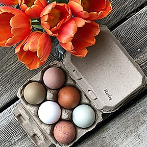 Half Dozen Egg Cartons- Henlay Blank Flat Top Six Pack (20)