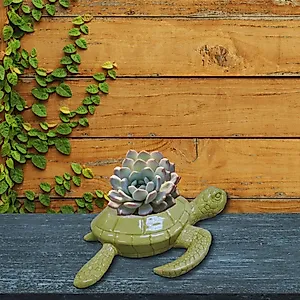 Comfy Hour Ocean Voyage Collection 9" Sea Turtle Succulent Planter Flower Bud Pot Decorative Small Plant Vase, Palegreen, Dolomite