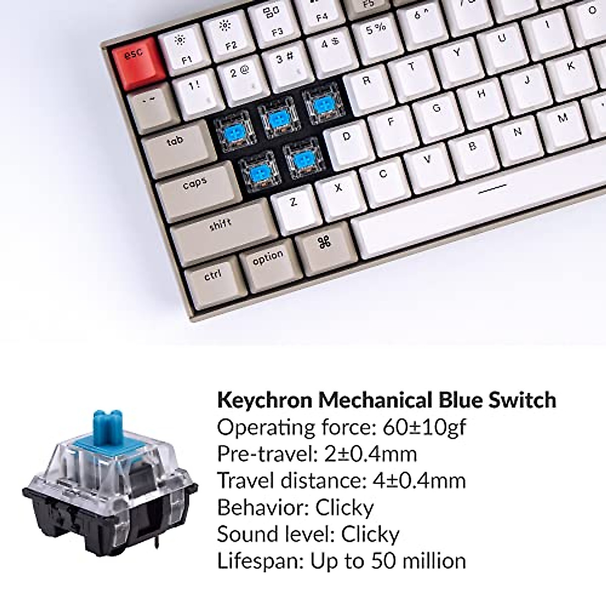 Keychron K2 75% Layout Bluetooth Wireless/USB Wired Mechanical Gaming Keyboard Mechanical Blue Switch, Compact 84 Keys Computer Keyboard for Mac & Windows