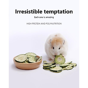 Niteangel Hamster Snack & Treats Toy - Small Animal Natural Treat for Dwarf Syrian Robo Hamsters Gerbils Mice Lemmings Degus or Other Small-Sized Pets (Freeze-Dried Cucumbers)