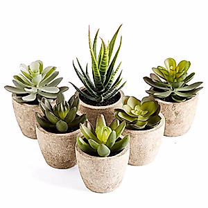 PRIMAISON Artificial Succulents Plants Potted Set-Decorative Fake Succulent Plant Faux Plastic Plant Indoor &Outdoor for House Office Desk Bathroom Kitchen DIY Decor Gift Set of 6