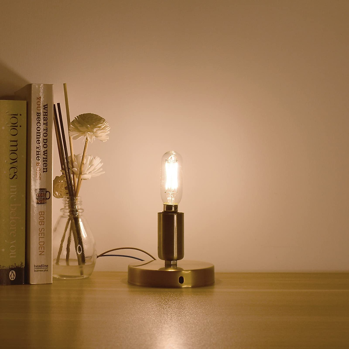 AIELIT T8 4-Watt E12 LED Light Bulb, Dimmable (0-100%), Soft White 3000K, Clear Tubular Candelabra Light Bulbs 40W Equivalent for Sputnik Chandeliers, Glass Mason Jars, Hanging Pendant Lamp,4-Pack