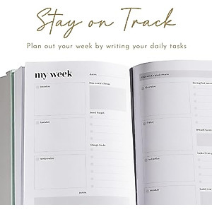 ADHD Planner for Adults: Focus and Productivity Planner - A planner for Neurodivergent Brains - Organization, Goal-Setting, and Time Management - Gift for Men and Women with ADHD
