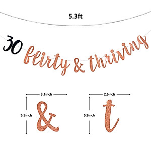 Rose Gold Glitter 30 Flirty & Thriving Banner - Cheers To 30 Years - Happy 30th Birthday Party Decoration Supplies