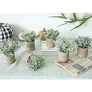 Der Rose 6pcs Mini Potted Fake Plants Small Artificial Plants for Home Farmhouse Bathroom Desk Office Decor