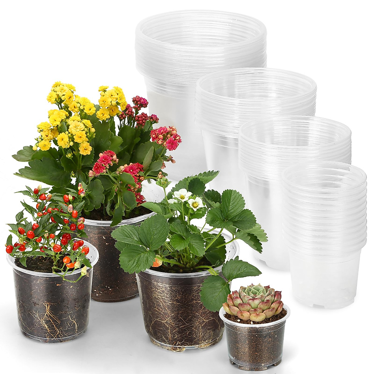 TAQIXI 48 Pack 7/6/5/3.5 Inch Clear Plastic Pots for Plants, Clear Nursery Pots with Drainage Holes, Reinforced Plastic Nursery Pots Variety Pack