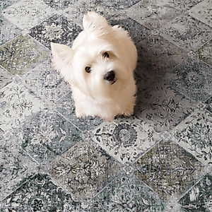 Moroccan 6x9 Area Rug for Living Room, Ultra-Thin Soft Office Carpet, Washable Oriental Bedroom Rug, Distressed Non Shedding Throw Rug, Non-Slip Indoor Accent Rugs for Dining Room