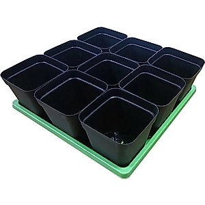 RooTrimmer 10-Pack Microgreen Seed Starter Grow Trays for Seedlings, Shallow Seeding Germination Flats Non Standard 1010 Tray no Holes Plant Sprouter Propogation Tray