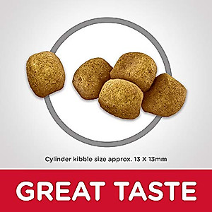 Hill's Science Diet Dry Cat Food, Adult, Oral Care, Chicken Recipe, 7 lb. Bag