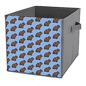 Cute Capybara Collapsible Storage Bins Basics Folding Fabric Storage Cubes Organizer Boxes with Handles