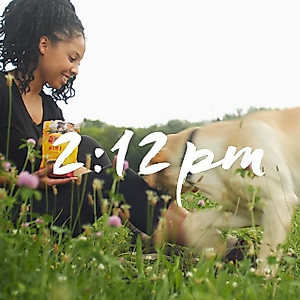 Zuke's Mini Naturals Dog Training Treats, Salmon Recipe, Soft Mini Dog Treats with Vitamins & Minerals, Made for All Breed Sizes (Salmon, 16 Ounce (Pack of 2))