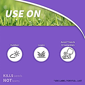 Bonide 061 O7688476 Chemical Chickweed, Clover and Oxalis Killer, 1