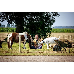 MATTERHORN - Wo die Liebe hinfällt (OmU)
