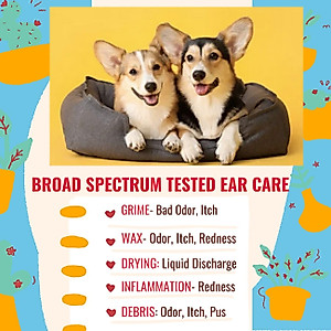 PetGlow Dog Ear Cleaner Infection for Yeast with Turmeric. Natural Ear Therapy eliminates Painful Ear infections, Odor, Wax, and Stops Chronic Ear Itch.