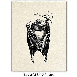 Bats Wall Decor - Bat Decorations - Bat Decor for Home - Creepy Gothic Wall Art - Goth Wall Decor - Pagan Gifts - Gothic Decor