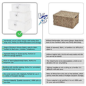Homepeaz Set of 3 Woven Wicker Storage Basket Box with Lid & Lock, Built-in Carry Handles, Multifunctional Storage Organiser for Nursery, Baby, Clothes, Toys, Books, Large/Medium/Small Size (White)