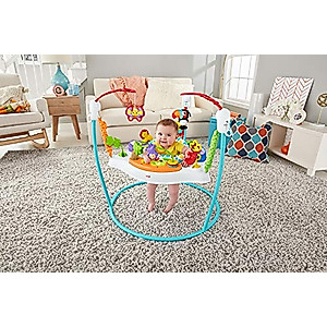Fisher-Price Baby Bouncer Animal Activity Jumperoo With Music Lights Sounds And Developmental Toys For Infants