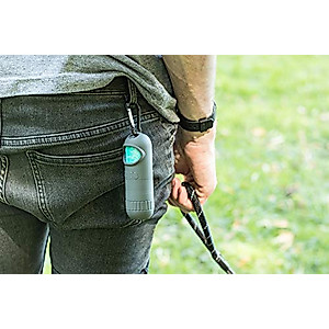 KONG HandiPOD - Mini Flashlight Dispenser - Dog Waste and Small-Sized Poop Bag Dispenser with Built-in Flashlight - Includes Leash Clip - Light Grey - Small