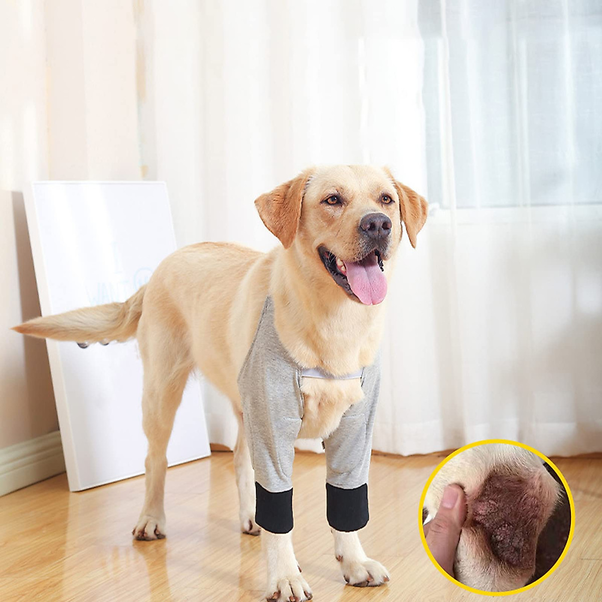 Adjustable Dog Elbow Protector Soft Breathable Stable Support for Injury, Front Legs Sleeve for Dog Recovery (S)