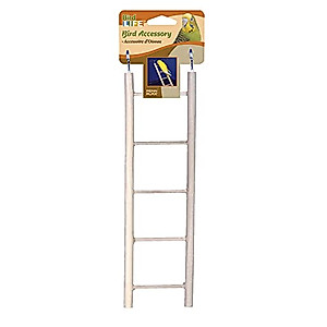 PENN-PLAX Small Bird Starter Kit with Birdcage and Accessories – Great for Parakeets, Lovebirds, Parrotlets, Finches, Canaries, and More – Arch Style Cage – White