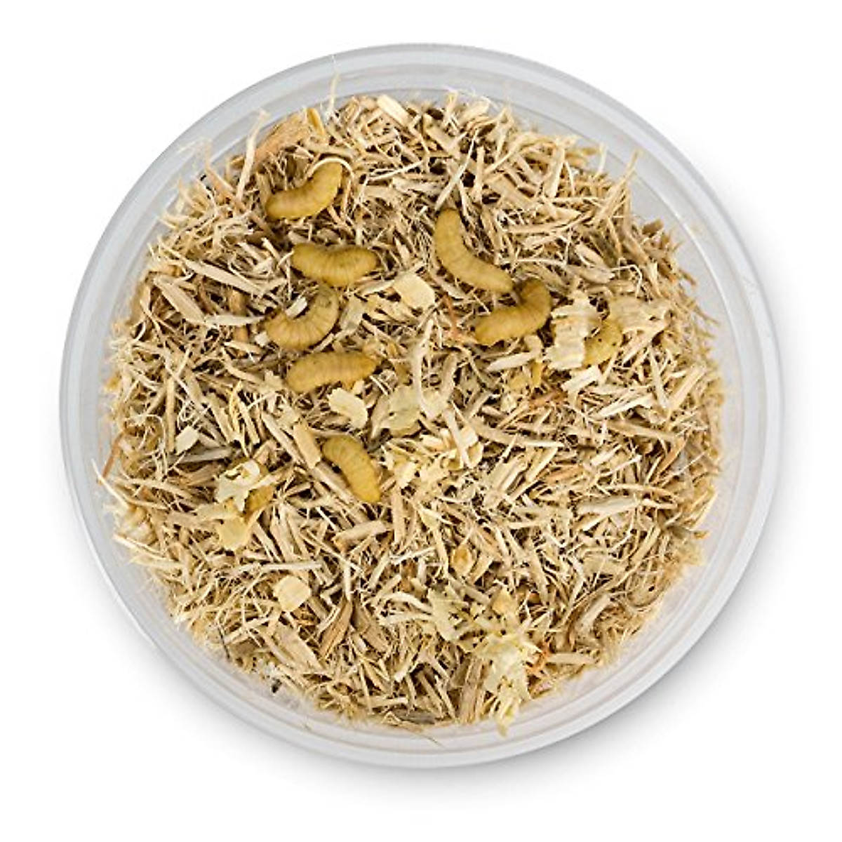 Josh's Frogs Waxworms (50 Count)