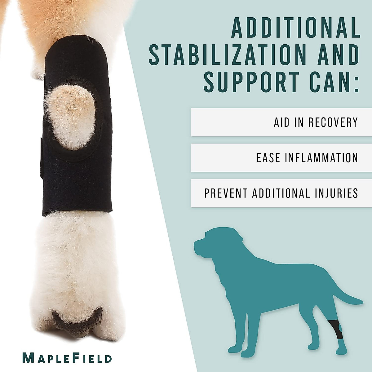 Maplefield - Dog Leg Brace - Rear Hock Hind Leg Support for Canines - Helps Promote Healing and Rehabilitation, Prevents Injuries, and Helps with Arthritis (XS)