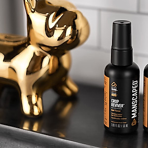 MANSCAPED® The Crop Reviver®, Hydrating & Refreshing Men's Body Toner Spray, Cooling Groin Spritz with Soothing Aloe Vera, Below-The-Waist Odor Neutralizer, 2oz (1 Pack)