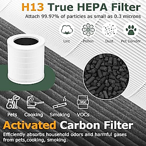 A2001 Replacement Filter Compatible with A2001 Air Purifie-r, 3-In-1 H13 True HEPA Activated Carbon Filter, Compared to Part #AF-2001, 2 Pack