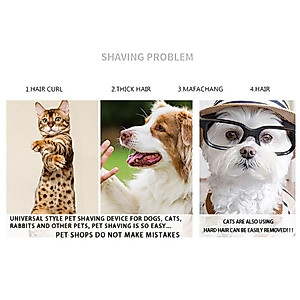 TITA-DONG Heavy Duty Pet Grooming Clippers Kit, Ceramic Material, Low Noise, Suitable for Small Dogs, Cats, Birds, and More