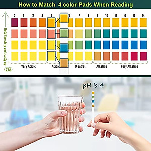 pH Test Strips - 200ct + 4 Colorimetric Blocks - Easy to Use and Wide Range pH Strips - for Testing Water, Soil, Soap, Chemistry Experiment, Pet Food, Diet pH Monitoring and so on…