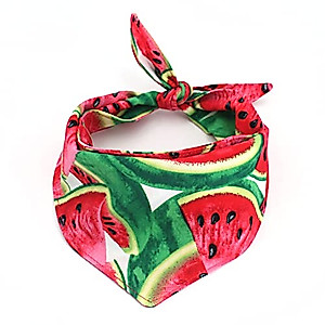 Red Watermelon Dog Bandana, Summer Bandana