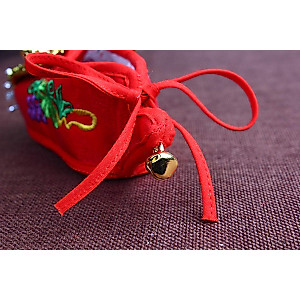 Coco Dolphin Baby Tiger Shoes 6 Month Infant Boy Girl Baby Gift Chinese New Year Asian Tang Traditional 100 Day Celebration Red