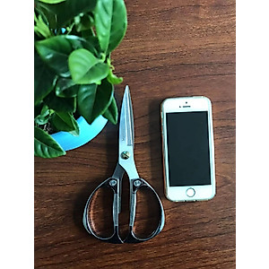 Horsvill Indoor Plant Shears Garden Scissors, Houseplant Shears Made of Japan SK5 Stainless Steel, Flowers Herbs and Plant Cutters, Clippers, Trimmers, Loppers, Bonsai Potted Plant Pruning Scissors