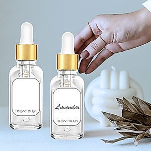 Bumobum Dropper Bottle Clear 1 oz, 30 ml Glass Dropper Bottles with Measurement and Golden Top Cap for Essential Oils, 2 pack Tincture Bottle with Labels and Funnel