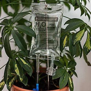 Bubblegum Stuff - Mini Plant Life Support Drip Irrigation Device For House Plants | Automatic Watering System | 3.5 Fluid Ounces - Plant Waterer For Indoor Plants…