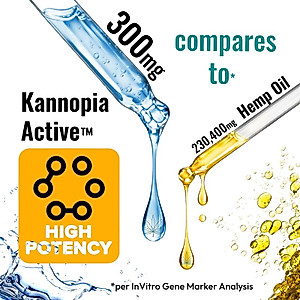 Instant Pain Relief Roll-On with 4% Lidocaine・230400mg Hemp Extract (=300mg KannopiaActive)・Post Surgery & Injury Support・Arnica・Doctor Recommended for Nerve・Joint・Sciatic Health・Free Sample* (2Pack)