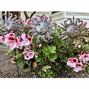 Small Metal Sun Faces, Sunny Home Décor, Wall Hanging, Authentic Upcycled Artwork from Haiti 6 Inches Round (Sun Faces)