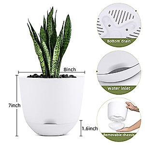 QCQHDU Plant Pots,3 Pack 8 inch Self Watering Planters High Drainage with Deep Saucer Reservoir,for Indoor & Outdoor Garden Flowers Plant Pot-White…