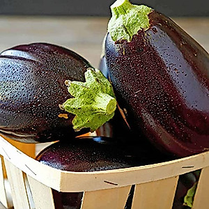 CHUXAY GARDEN 30 Seeds Easter Eggplant, Solanum Ovigerum,Ornamental Eggplant Fresh Vegetables Delicious Healthy Vegetable Gardening Gifts Great for Garden