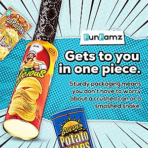 The FunFamz Original Snake in a Potato Chip Can Prank-Funny Classic Snake in a Can Prank for Kids, Snake in a Can Trick Gag Gift Toy & Scary Shock Snake Trick, Spring Snakes Prank, Red Potato Chip Can