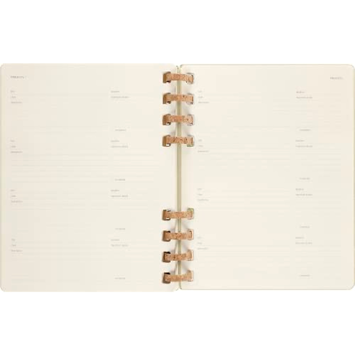 Moleskine 2024 Spiral Academic Planner, 12M, Extra Large, Crush Kiwi, Hard Cover (7.5 x 10)