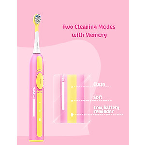 FOSOO Kids Electric Toothbrushes, Electric Toothbrush Kids Sonic Rechargeable 180 Days Battery Life,2 Modes with Memory,IPX7 Waterproof,2 Minutes Built-in Smart Timer for Ages 3+,4 Brush Heads (Pink)