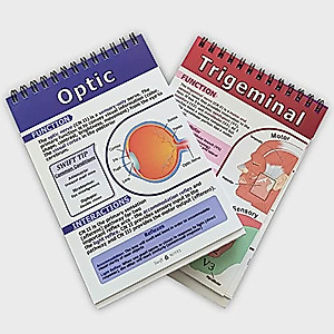 Cranial Nerves Anatomy, Testing, and Assessment - A Neurology and Medical Reference for the Clinical Professional