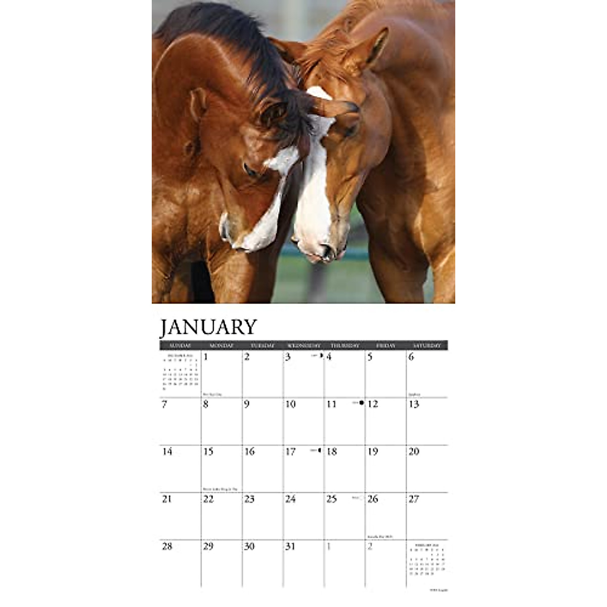 Willow Creek Press Horses Monthly 2024 Wall Calendar (12" x 12")