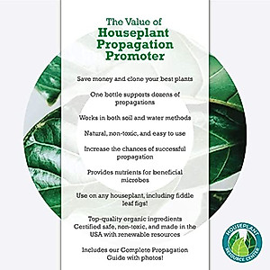 Houseplant Propagation Promoter & Rooting Hormone, Root Stimulator, Plant Starter Solution for Growing New Plants from Cuttings (Formulated for Fiddle Leaf Fig or Ficus Lyrata)