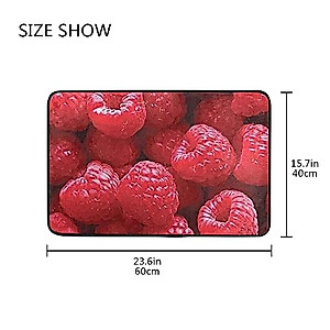Doormat Welcome Door Mat-Red Raspberries As Background 4x5 Film,Living Room Kitchen Floor Mat Home  Indoor Outdoor Decoration 24X16INCH